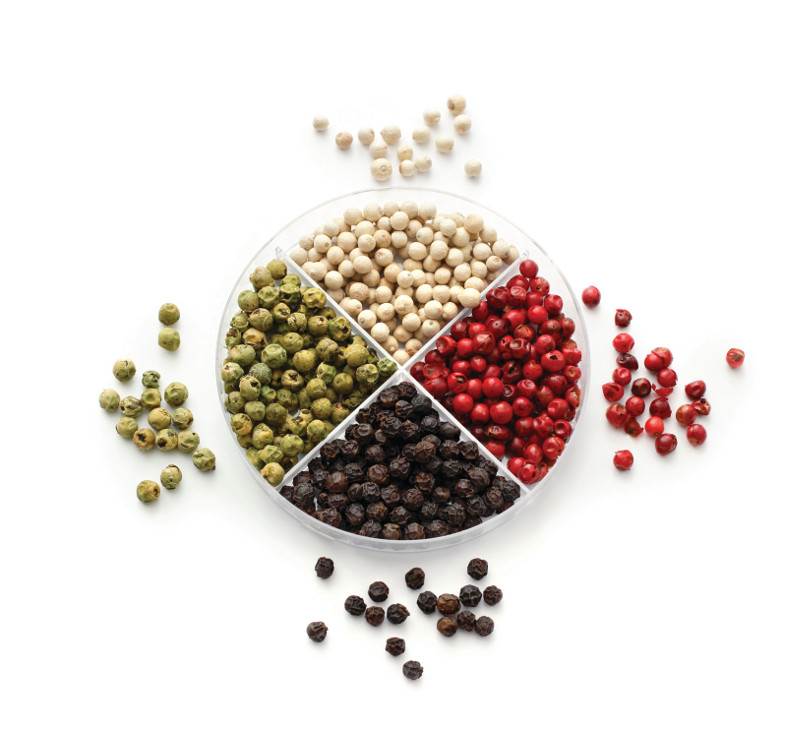 Sve vrste papra i za što se koriste... | Sensa