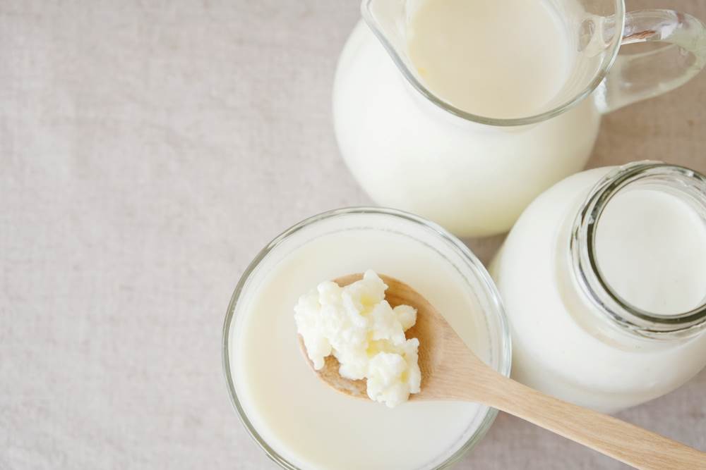 Recept za pripremu kefira od kravljeg mlijeka | Sensa